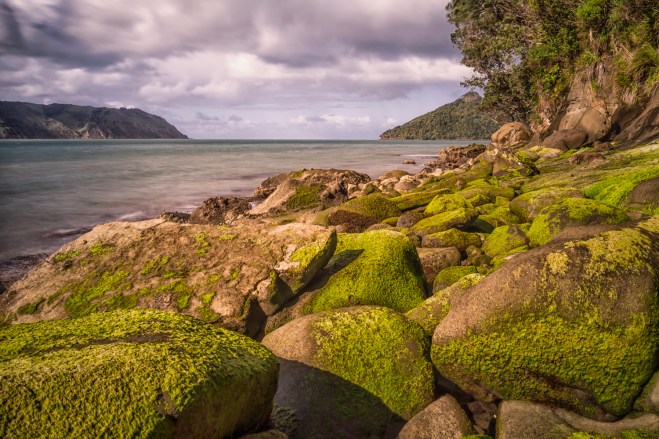 Cornwallis – Huia Point | Fotoflo